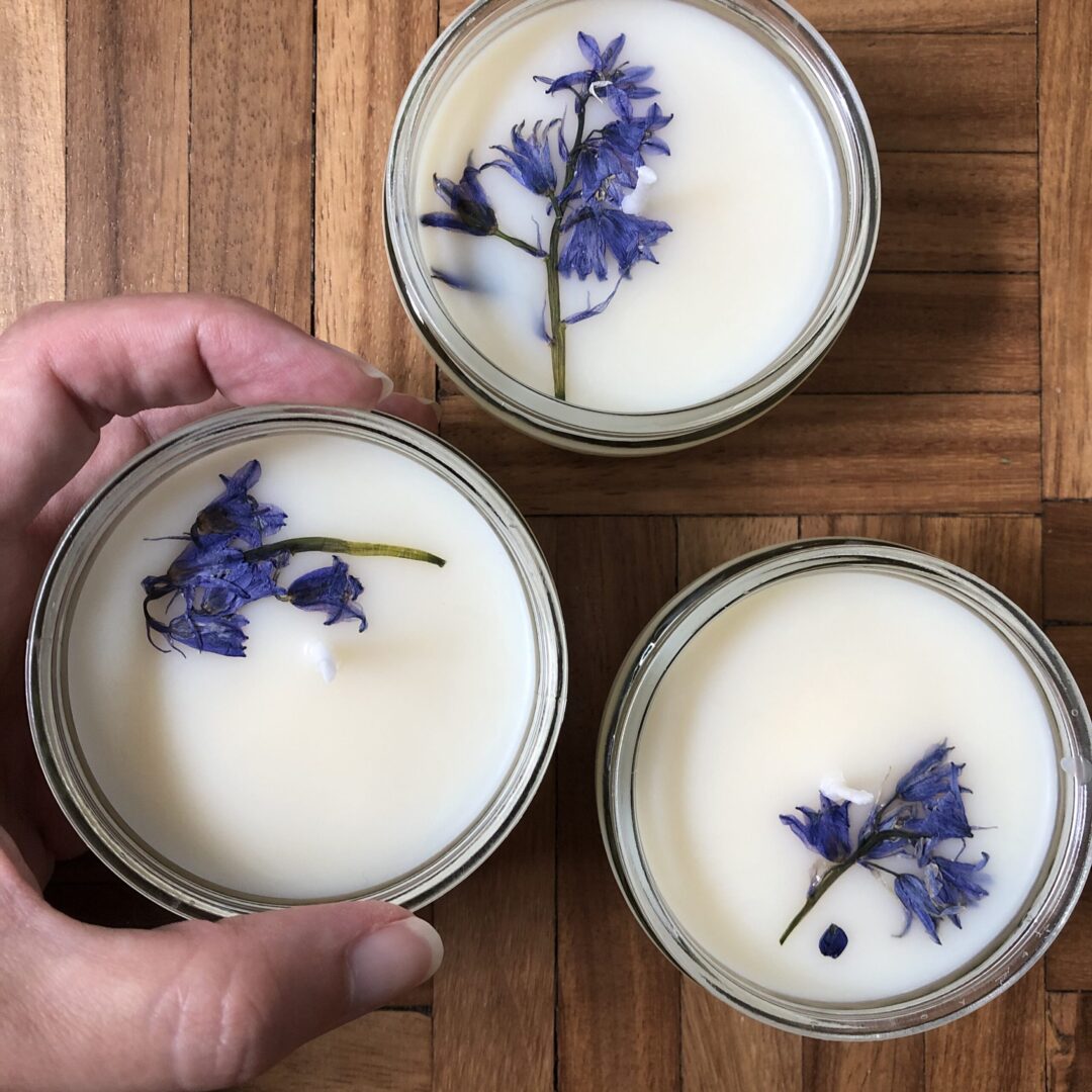 Why Gü Puddings are a treat worth keeping - Friends of Glass UK